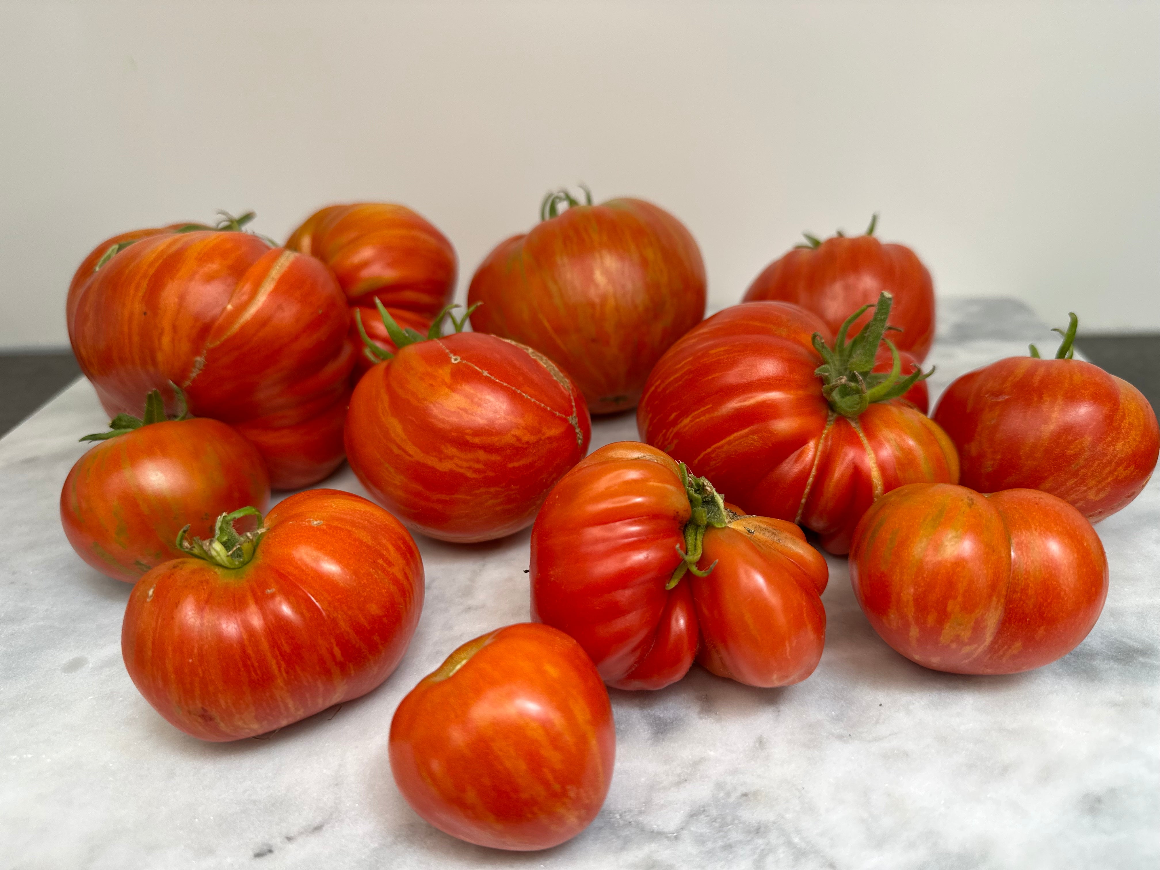 Tomato Club Varieties – The Burnt Hill Herb Co.