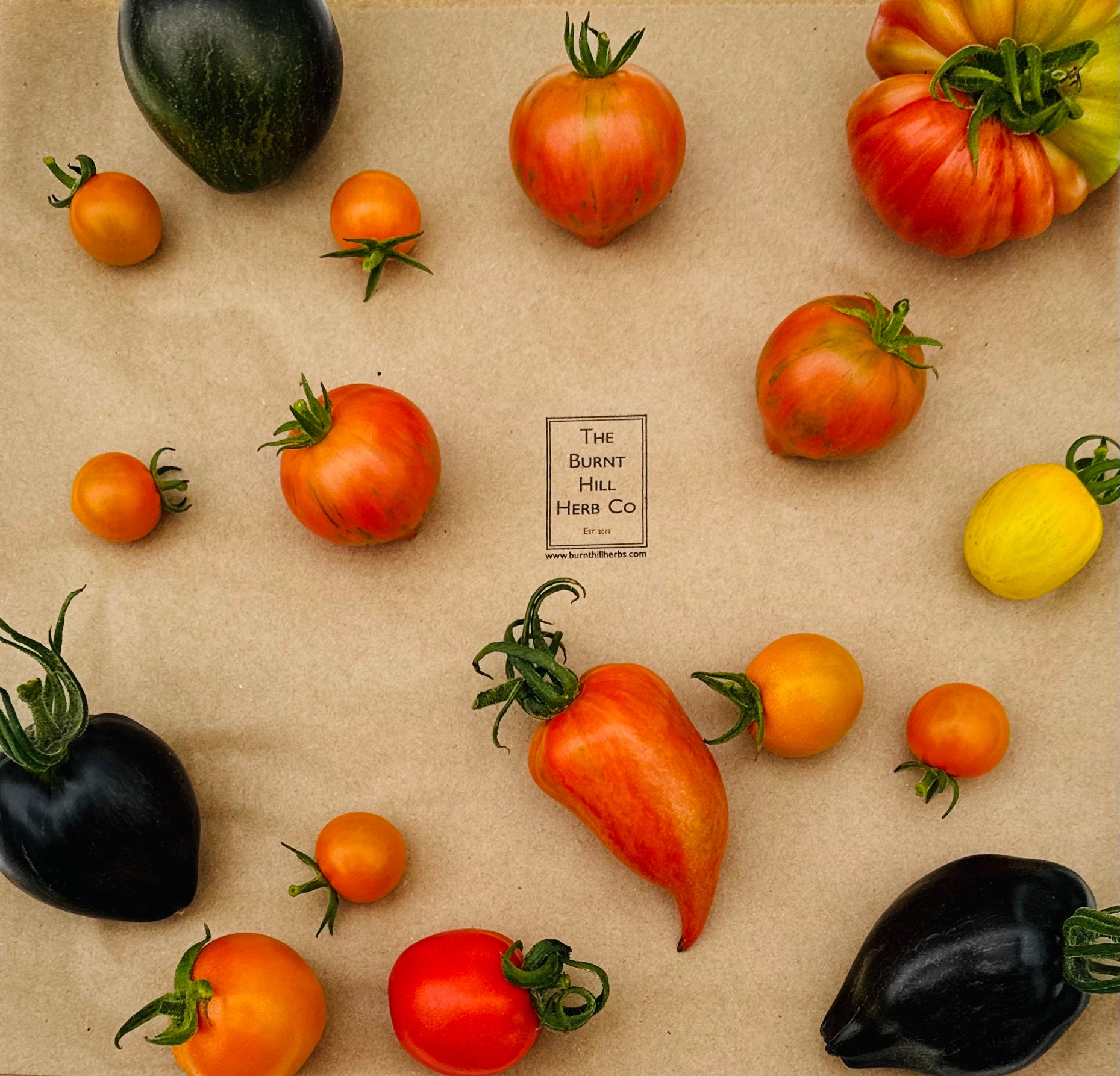 Tomato Club – The Burnt Hill Herb Co.